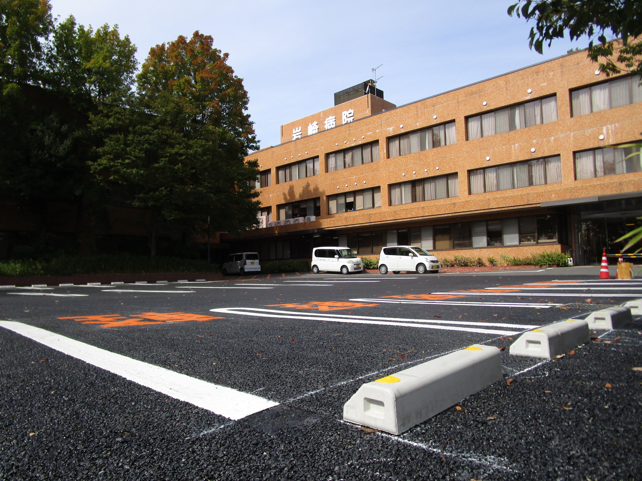 IMG_4476 - 医療法人社団愛有会 岩崎病院医療法人社団愛有会 岩崎病院